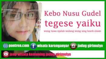 Tegese Kebo Nusu Gudel artinya, Tulisan Aksara Jawa (Saloka)