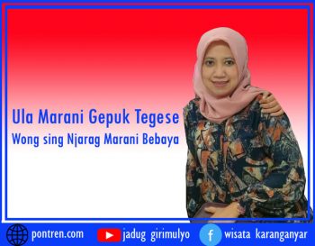 Ula Marani Gepuk (Gebug) Tegese Artinya Contoh Kalimat